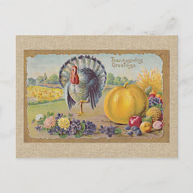 vintage turkey and greeting postcard | Zazzle