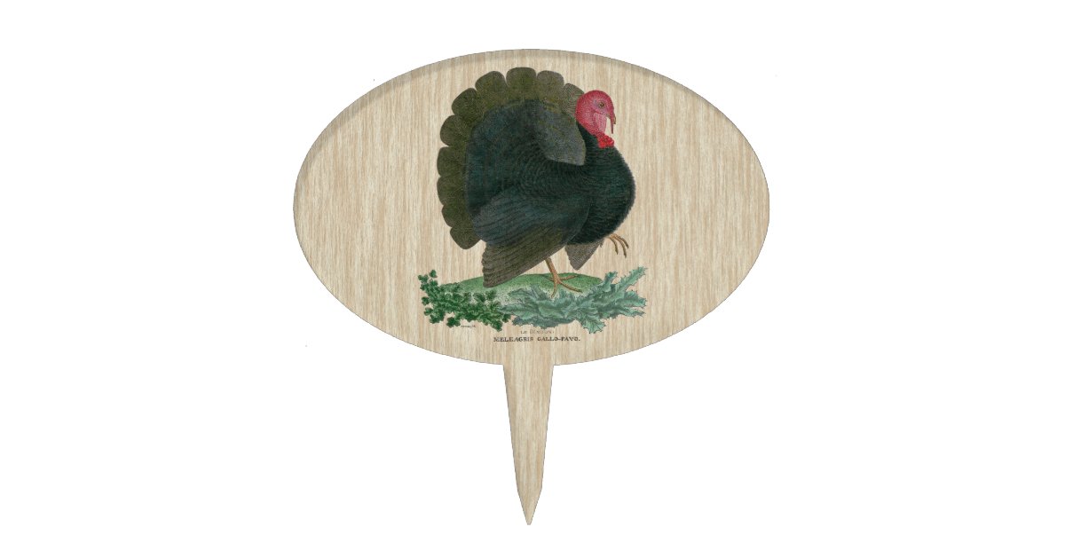 Vintage Turkey Cake Topper | Zazzle