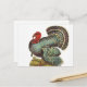 Vintage Turkey Postcard | Zazzle