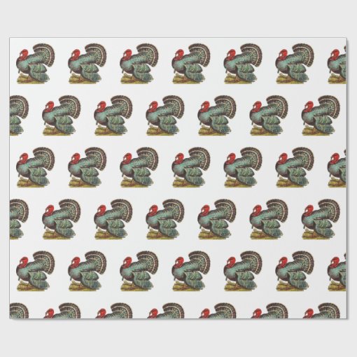 Vintage Turkey Wrapping Paper | Zazzle