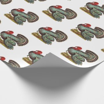 Vintage Turkey Wrapping Paper | Zazzle