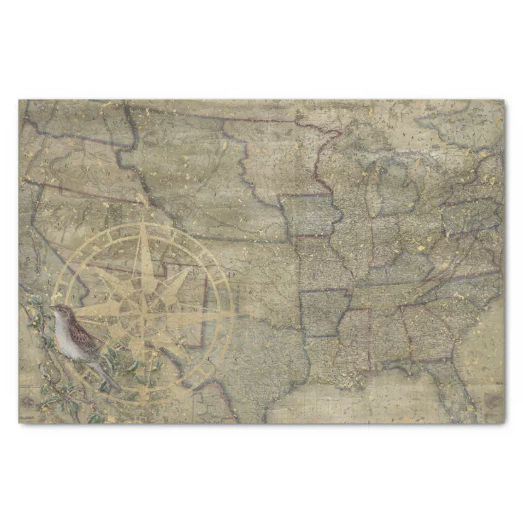 Vintage US Map Tissue Paper | Zazzle