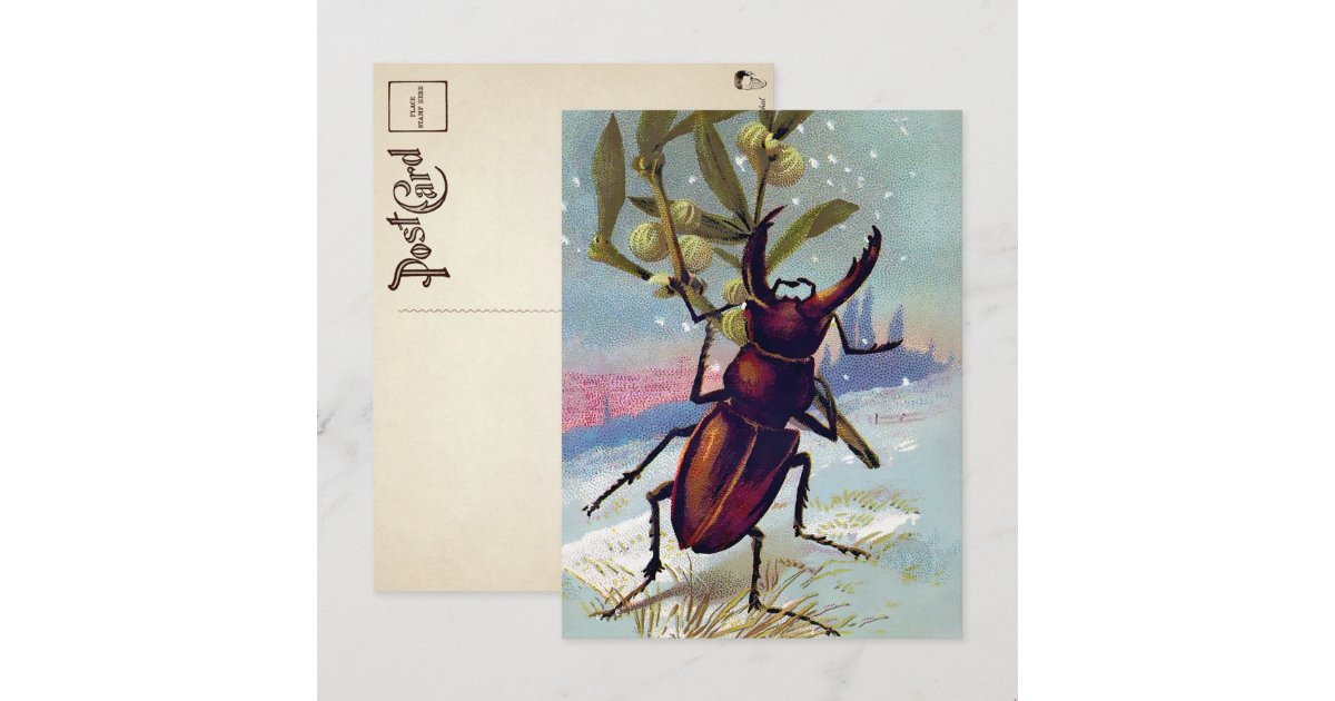 Vintage Victorian Bug Christmas Postcard | Zazzle