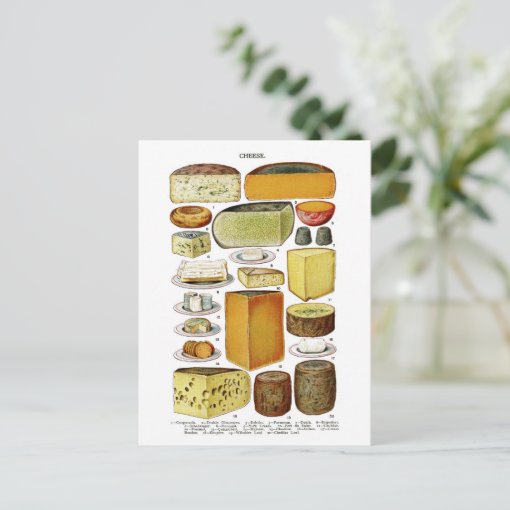 Vintage Victorian Cheese Varieties Illustration Postcard | Zazzle