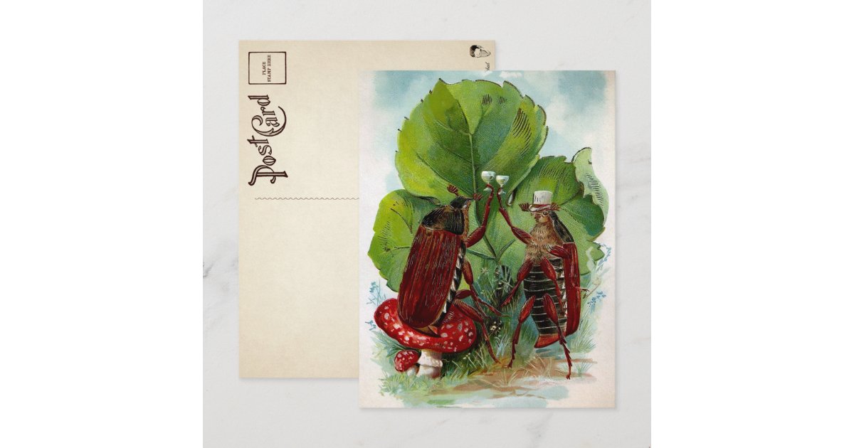 Vintage Victorian Drinking Bugs Postcard | Zazzle