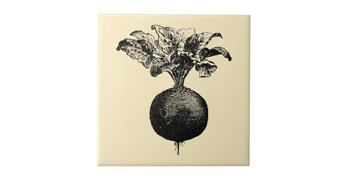 Vintage Victorian Era Fruit & Vegetable Beets Ad Ceramic Tile | Zazzle