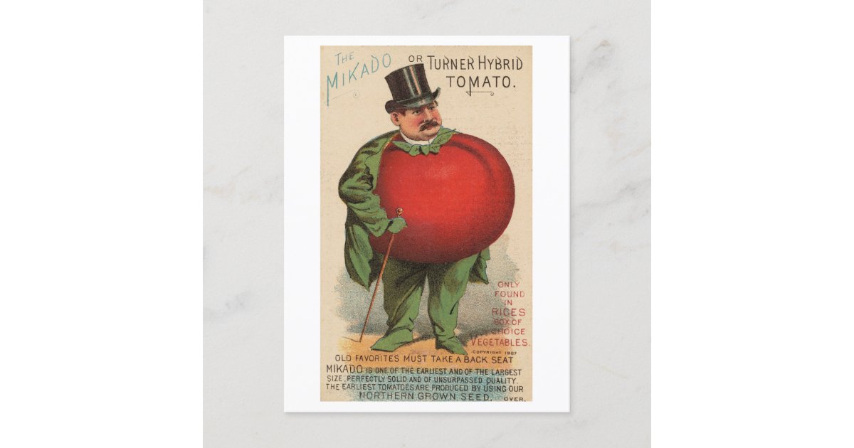 Vintage Victorian Man with Tomato Body Postcard | Zazzle