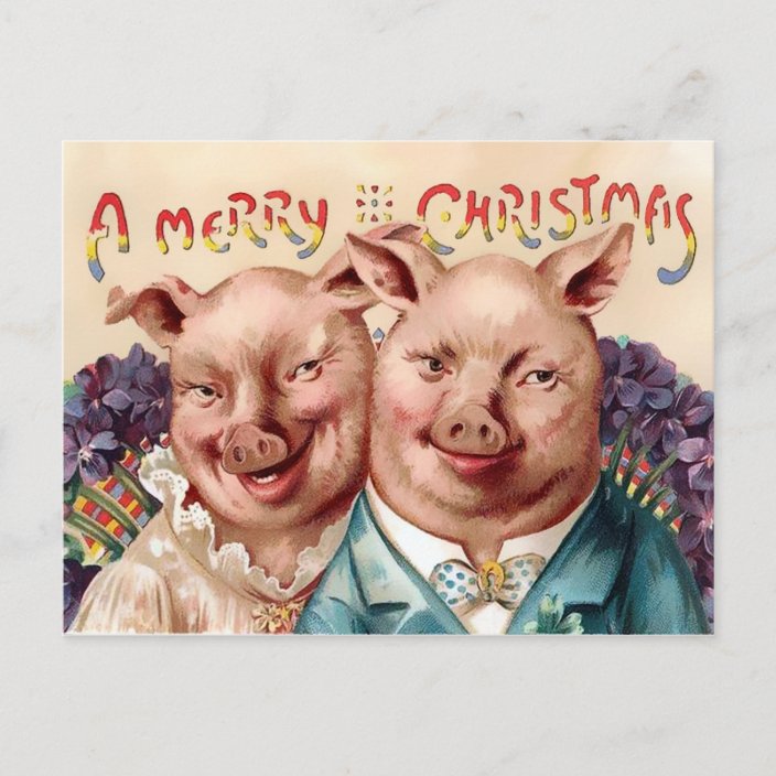 Vintage Victorian Pigs Christmas Postcard | Zazzle.com