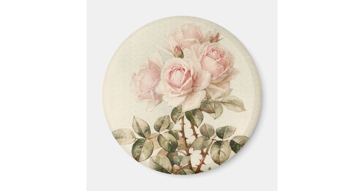 Vintage Victorian Romantic Roses Magnet | Zazzle