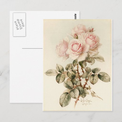 Vintage Victorian Romantic Roses Postcard | Zazzle