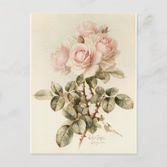 Vintage Victorian Romantic Roses Postcard | Zazzle