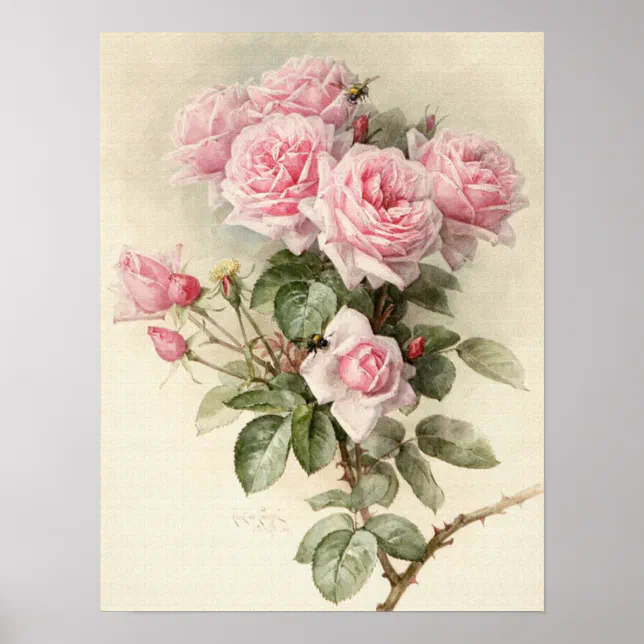 Vintage Victorian Romantic Roses Poster | Zazzle