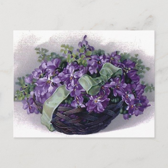 Vintage Violets Basket Postcard | Zazzle.com