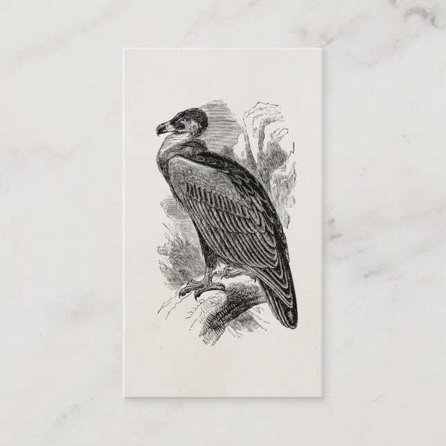 Vintage Vulture Bird Personalized Vultures Birds Business Card | Zazzle