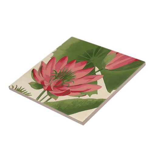 Vintage water lily ceramic tile | Zazzle