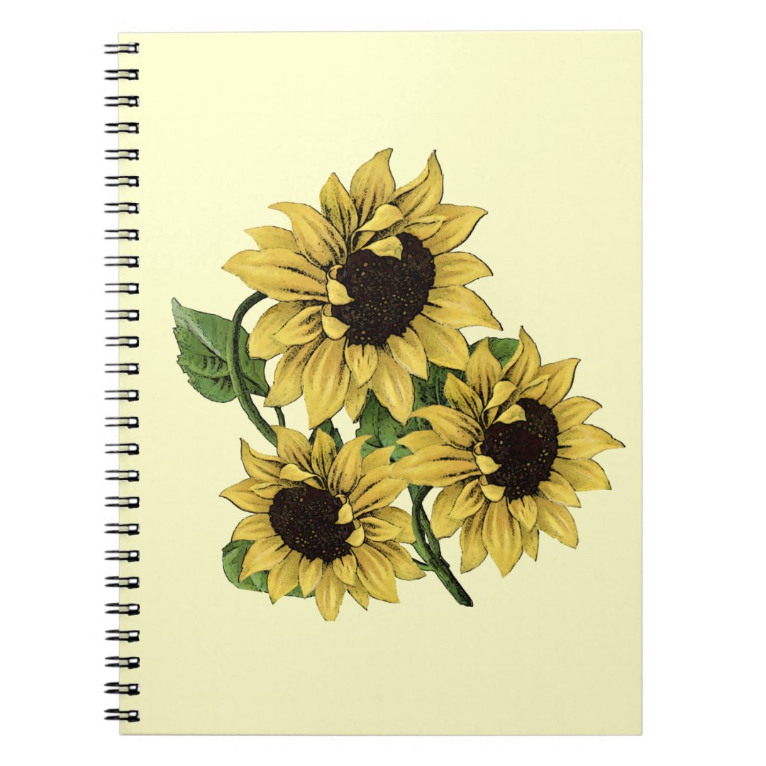 Vintage Watercolor Sunflower Design Notebook | Zazzle