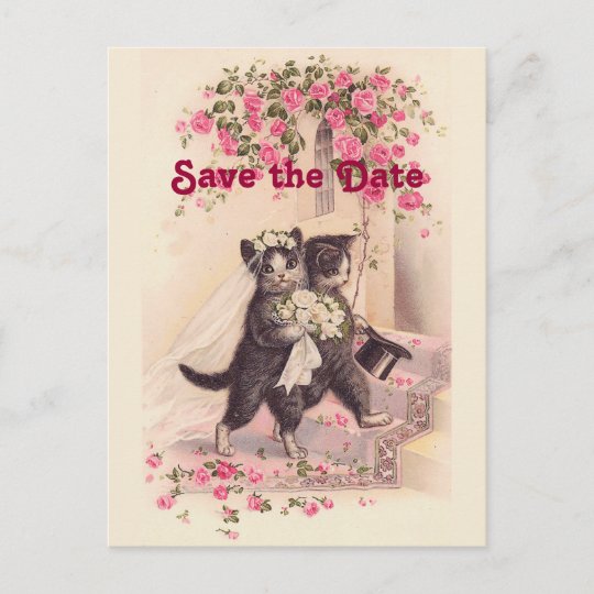 Vintage Wedding Cats Save the Date Postcard | Zazzle.com