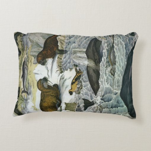 Vintage Whales, Seals and Walruses, Marine Animals Accent Pillow | Zazzle