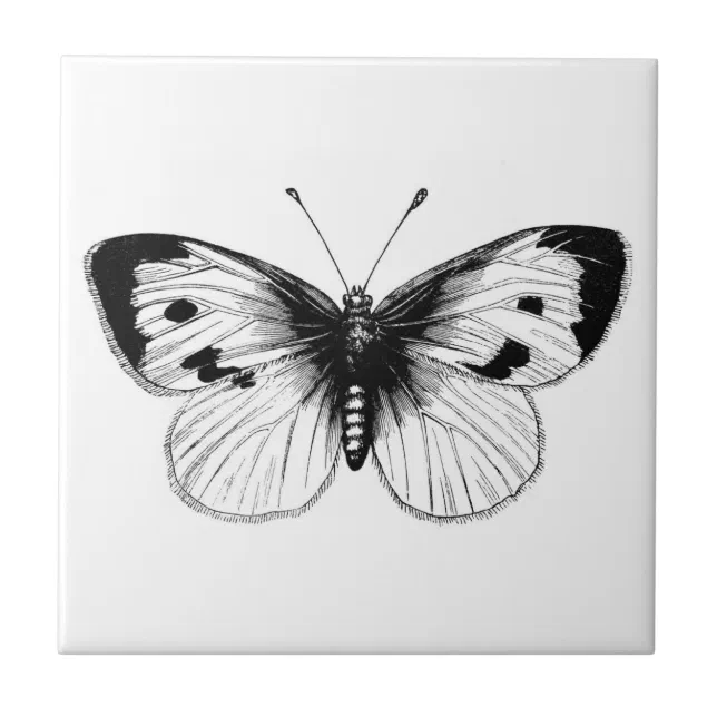 Vintage White Cabbage Butterfly Illustration Tile | Zazzle