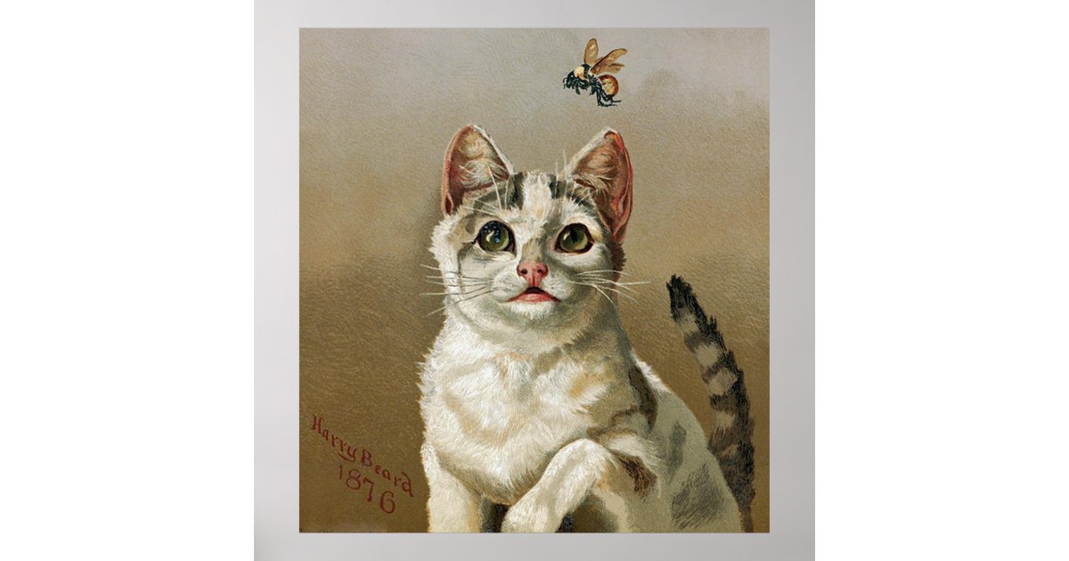 Vintage White Cat With Bee Art Poster | Zazzle