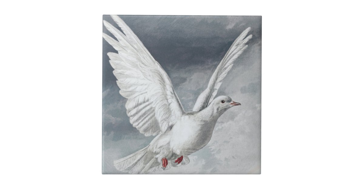 Vintage White Dove Ceramic Tile | Zazzle