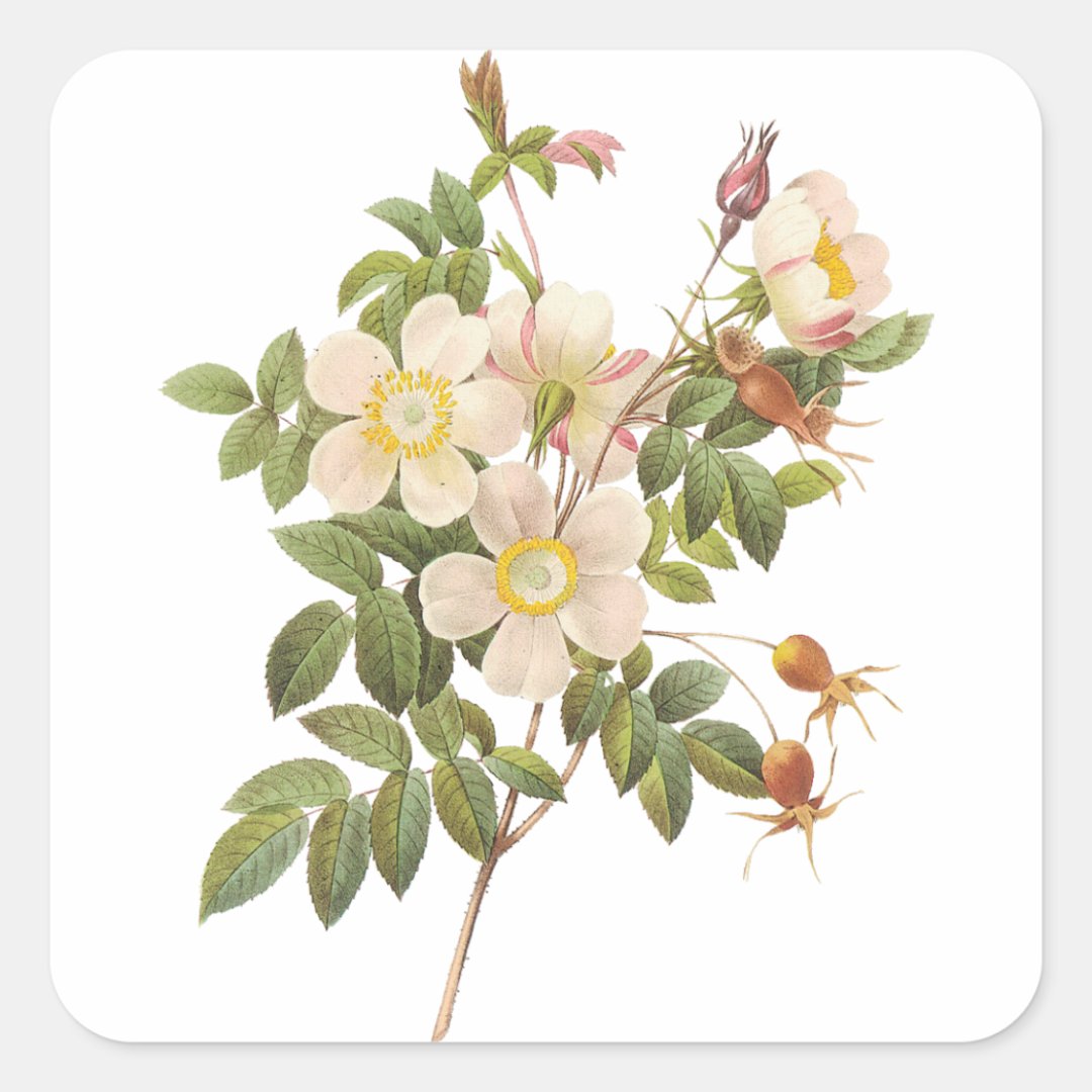 Vintage White Floral Sticker | Zazzle