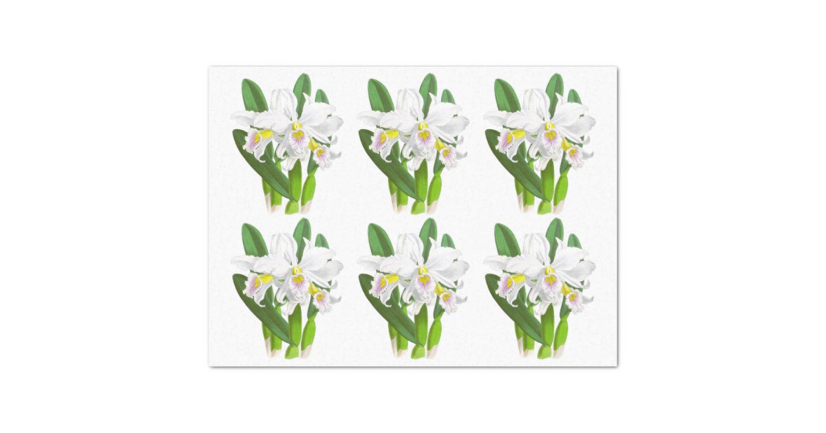 Vintage White Orchid Flower Tissue Paper | Zazzle