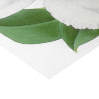 Vintage White Orchid Flower Tissue Paper | Zazzle