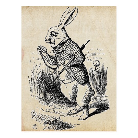 Vintage White Rabbit Postcard | Zazzle.com