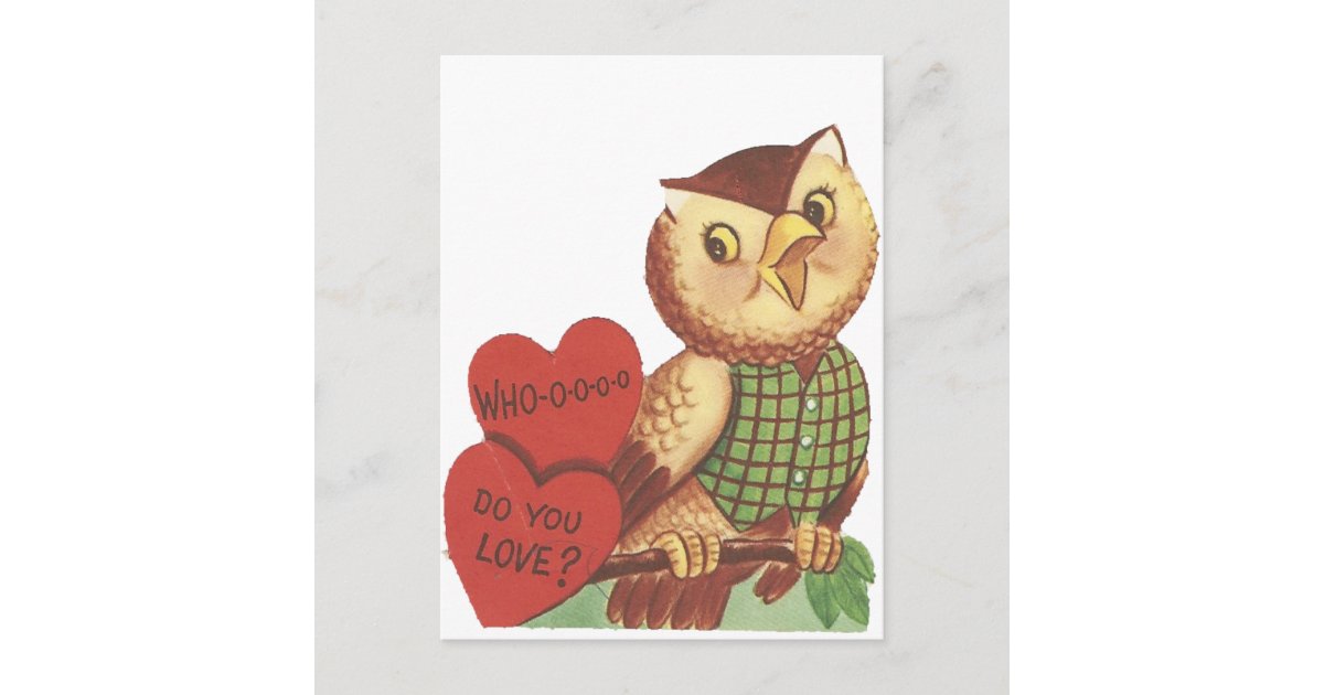 Vintage "Who Do You Love" Owl Valentine Holiday Postcard | Zazzle
