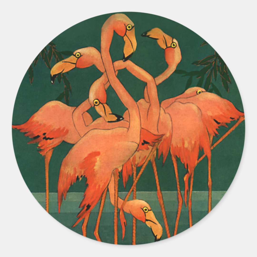 Vintage Wild Animal Birds, Tropical Pink Flamingos Classic Round ...