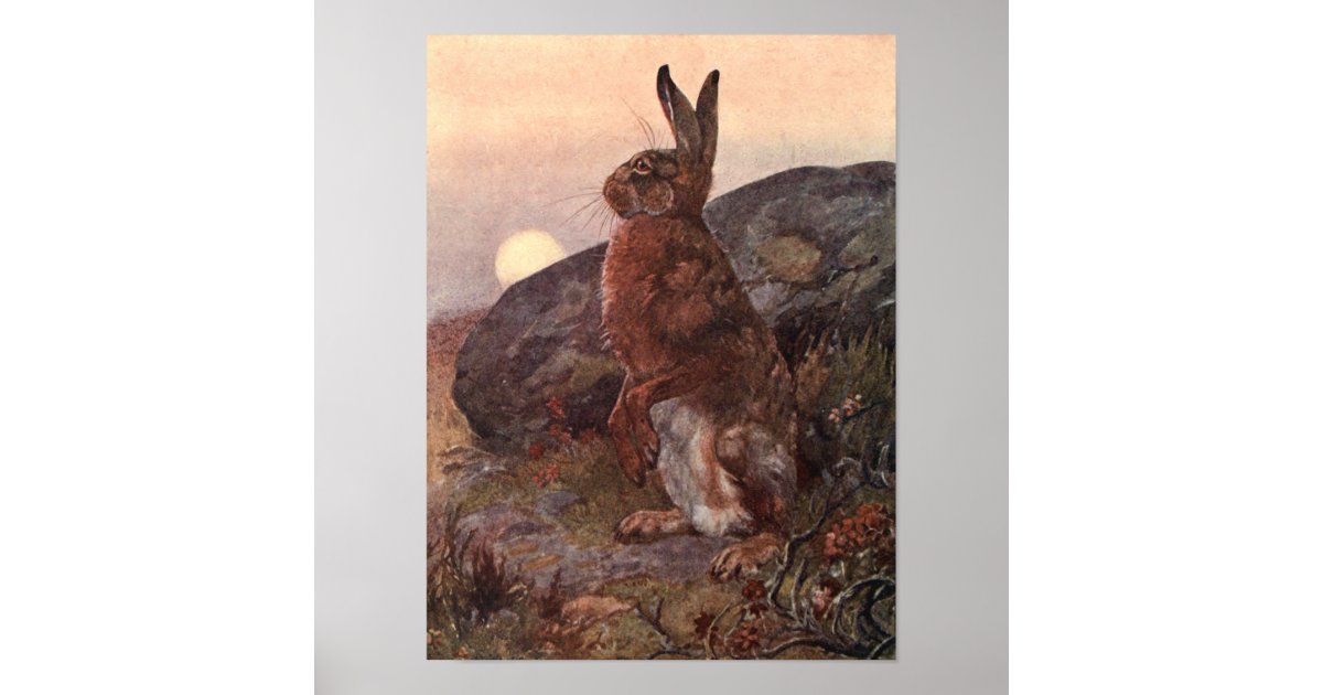 Vintage Wild Animals, Hare by Winifred Austen Poster | Zazzle