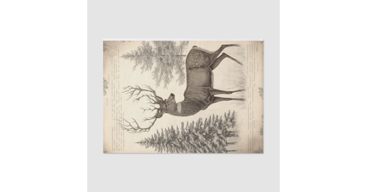 vintage Winter Deer Tissue Paper | Zazzle