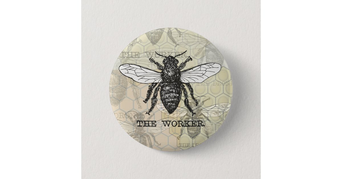 Vintage Worker Bee Illustration Art Pinback Button | Zazzle