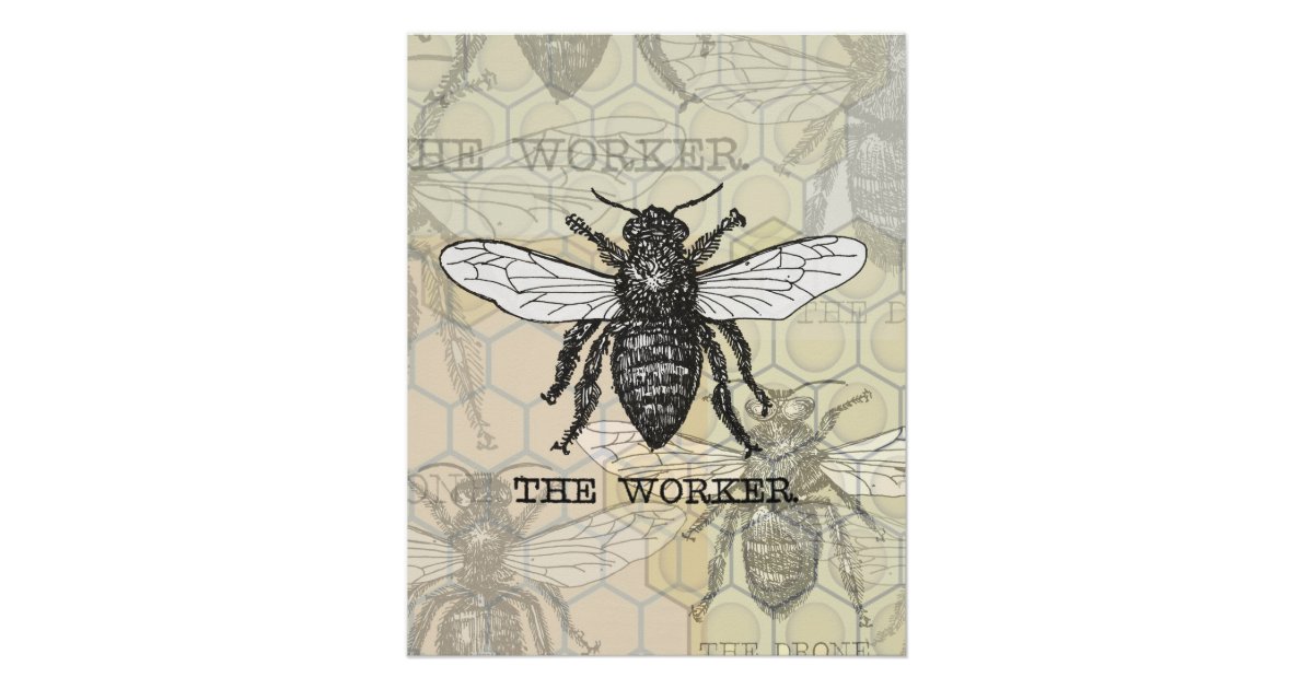 Vintage Worker Bee Illustration Art Poster | Zazzle