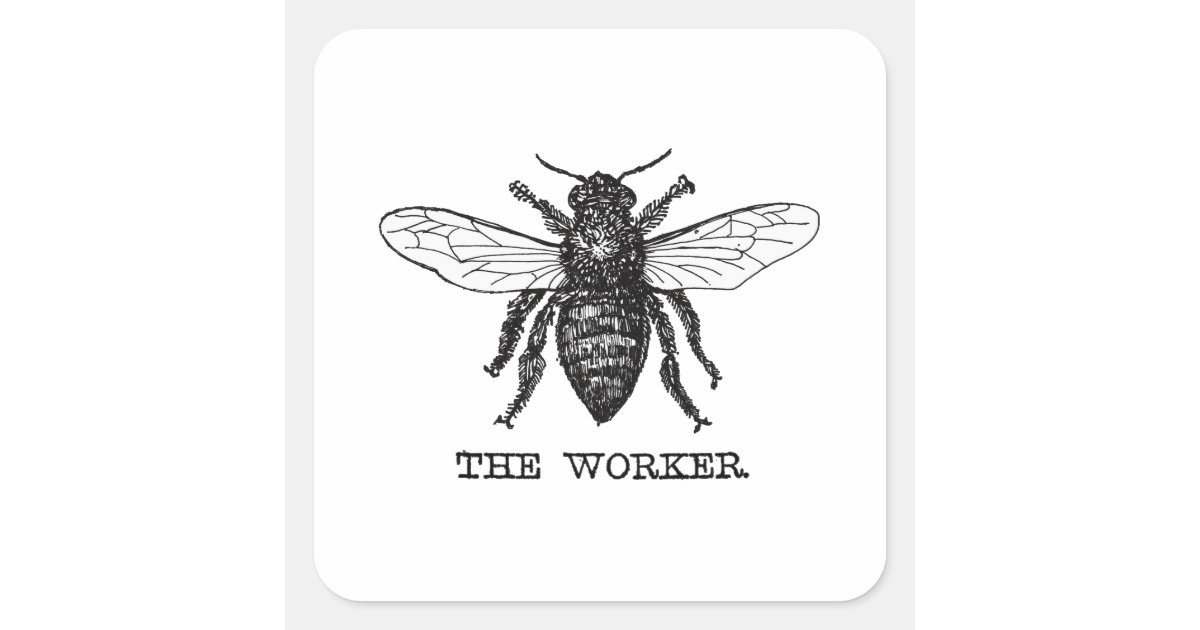 Vintage Worker Bee Illustration Art Square Sticker | Zazzle