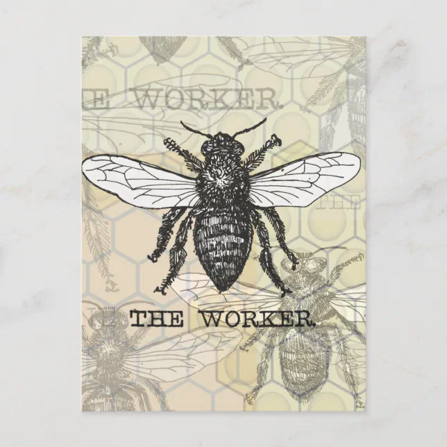 Vintage Worker Bee Illustration Postcard | Zazzle