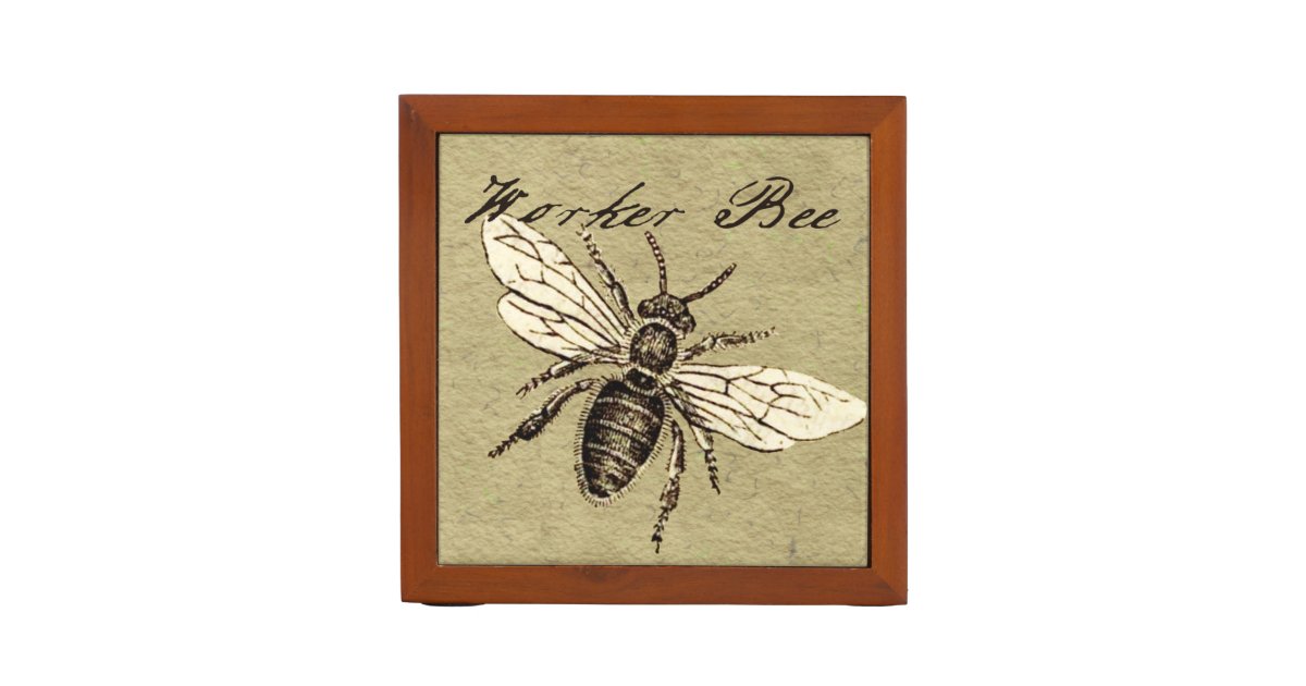 Vintage Worker Bee Insect Illustration Antique Desk Organizer | Zazzle