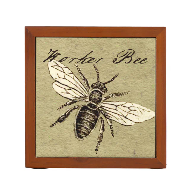 Vintage Worker Bee Insect Illustration Antique Desk Organizer | Zazzle