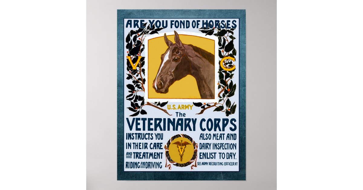 Vintage WW1 Veterinary Corps Army Recruitment Poster | Zazzle