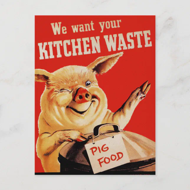 Vintage WW2 Pig Postcard | Zazzle