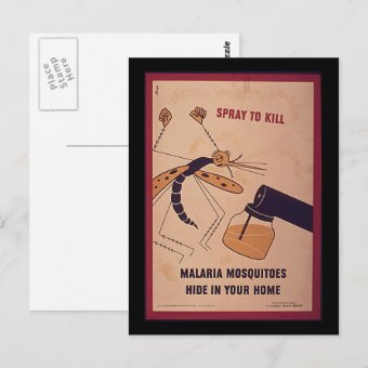 Vintage WWII Kill Malaria Mosquitoes Postcard | Zazzle