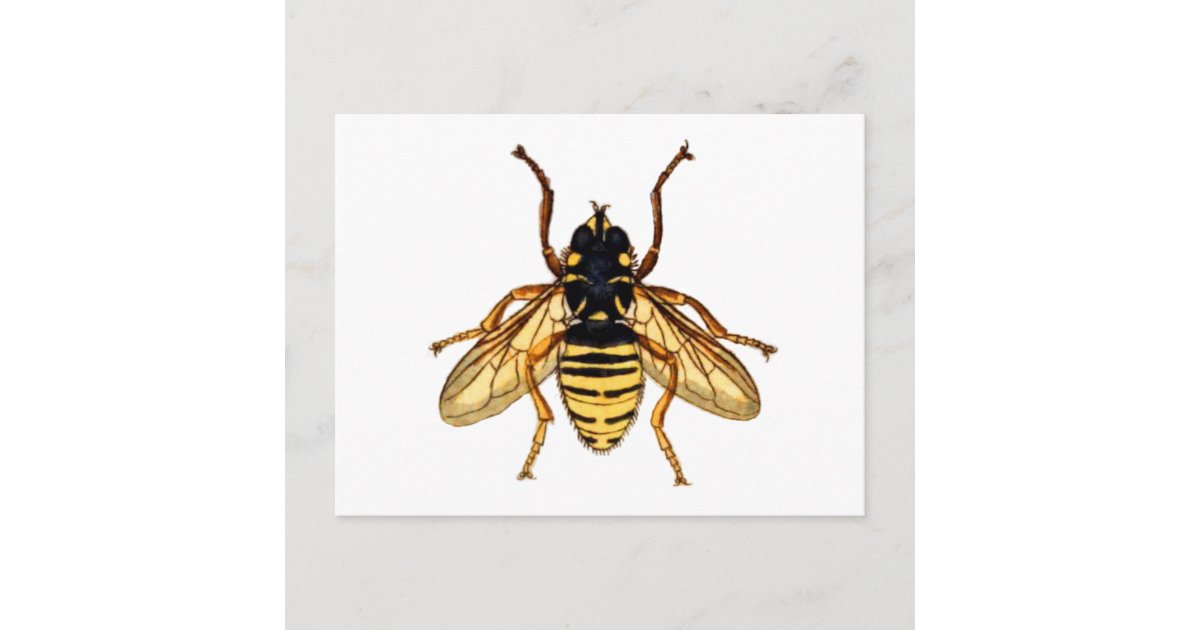 Vintage Yellow Bee Postcard | Zazzle