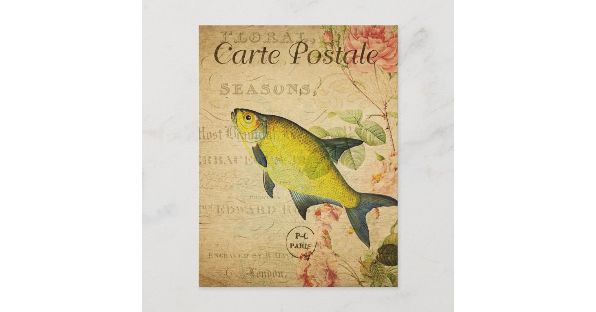 Vintage Yellow Bream Fish Floral French Postcard | Zazzle