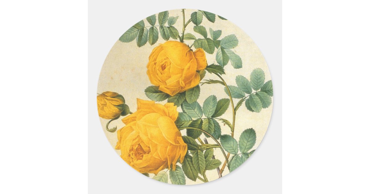 Vintage Yellow Rose Sticker | Zazzle