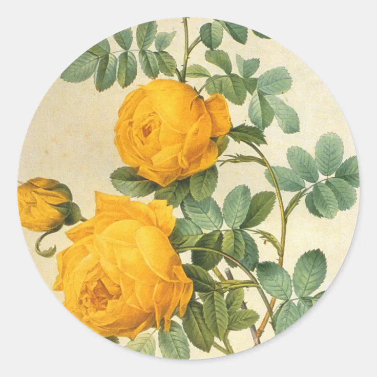 Vintage Yellow Rose Sticker | Zazzle