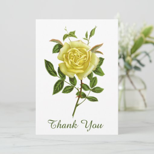 Vintage yellow rose thank you greeting card | Zazzle