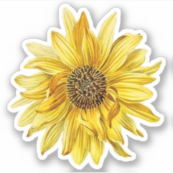 Vintage Yellow Sunflower Floral Sticker | Zazzle