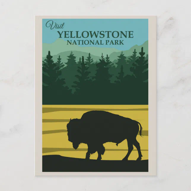 Vintage Yellowstone National Park Buffalo Postcard | Zazzle