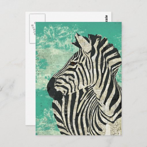 Vintage Zebra Turquoise Postcard | Zazzle